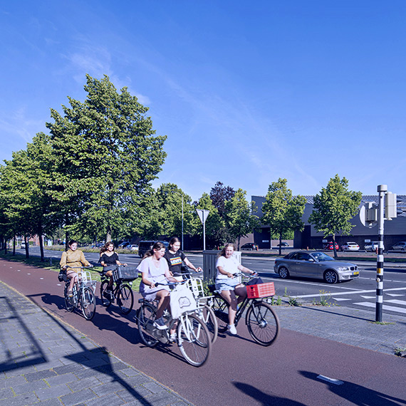 LISS panel - Centerdata EN